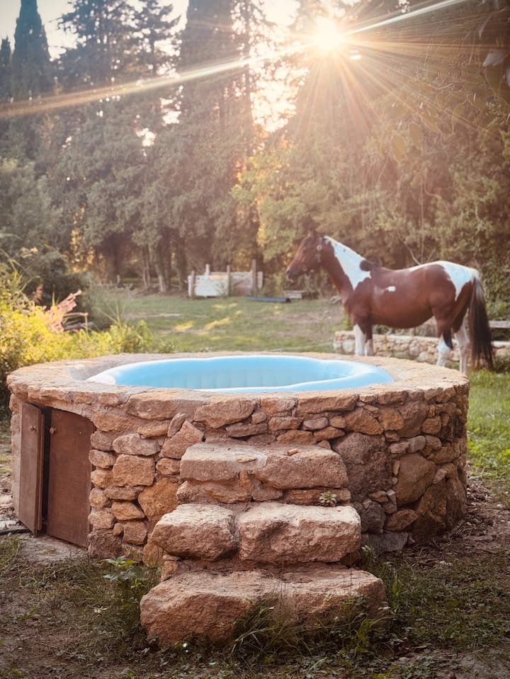 Mazet En Pierre Chevaux - Lourmarin