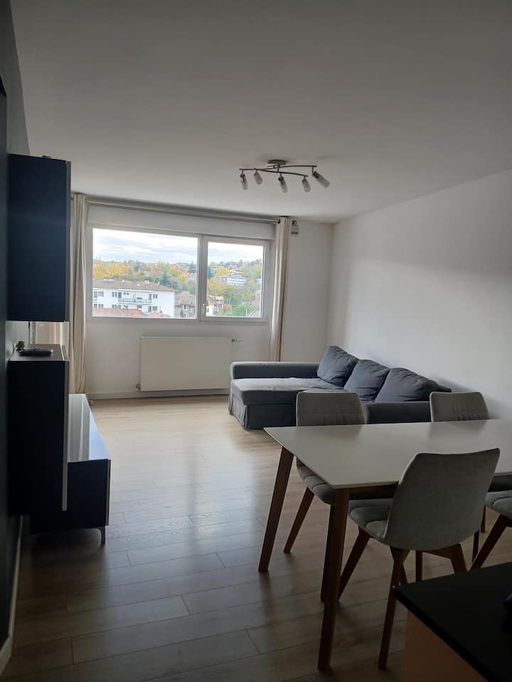 Appartement 90 M2 Annecy - Annecy-le-Vieux