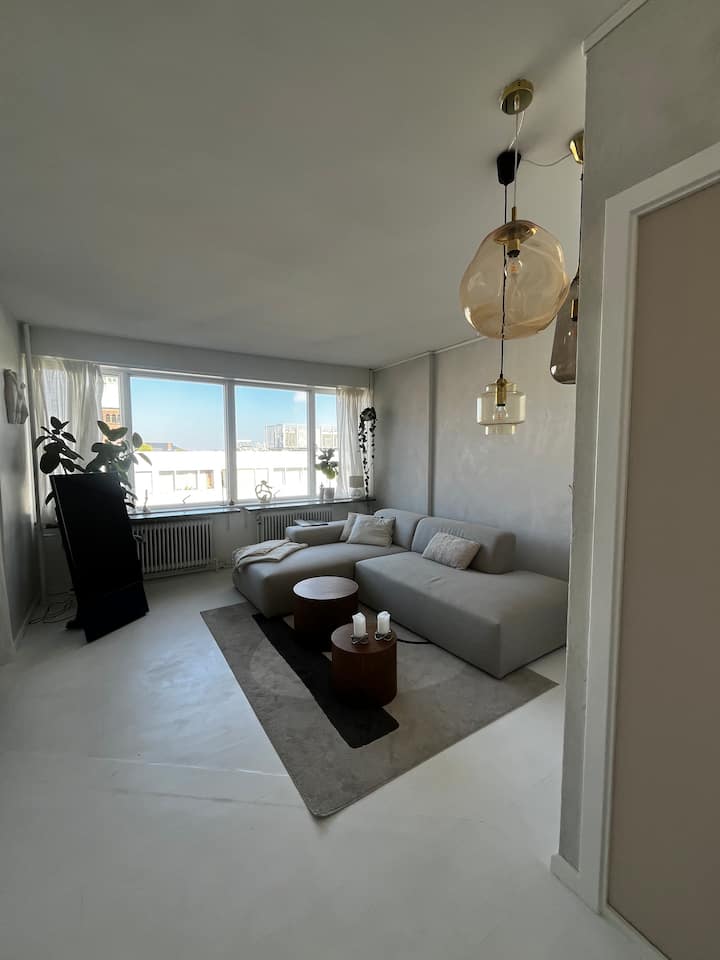Centrally Located, Spacious &Cozy Apartment In Cph - Copenaghen
