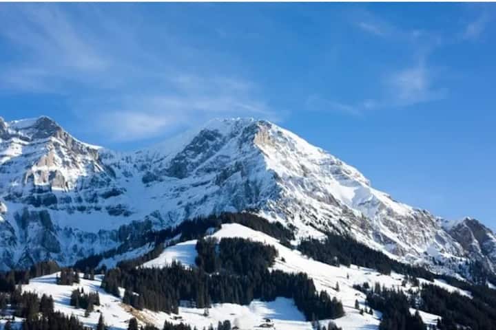 Apartment With Kitchen In Scenic Village Adelboden - Kandersteg