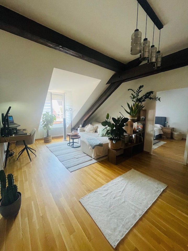 Cosy Lakeside Stay At A Modern Attic Apartment - Geneva