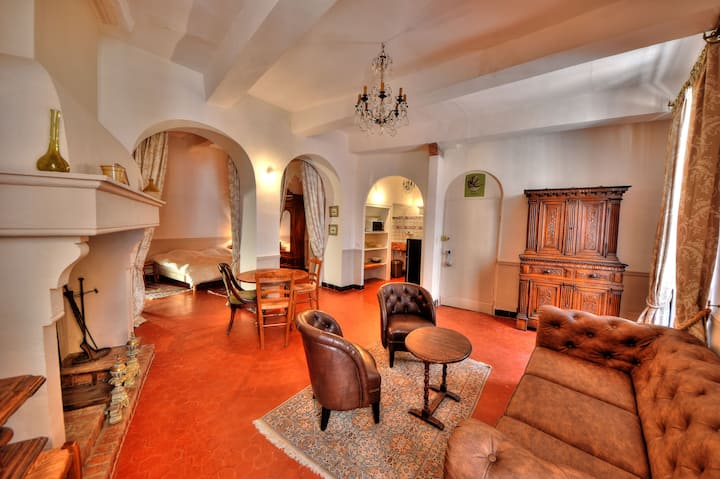 Bel Appartement, Dans Le Centre Historique D'aups - Villecroze