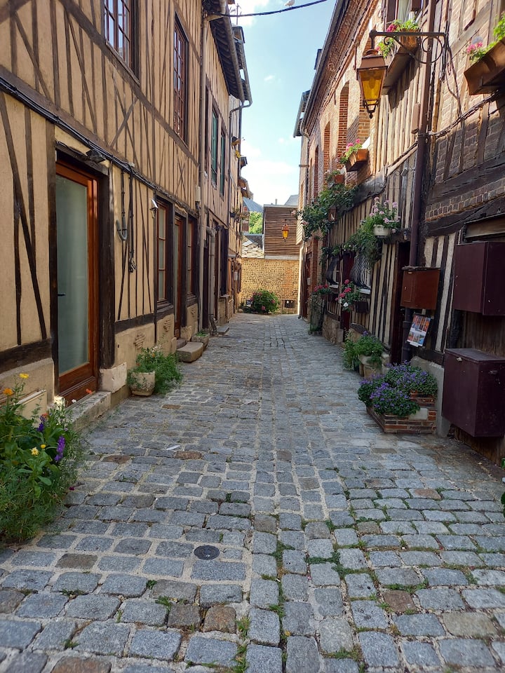 Charmant Studio Hyper Centre - Pont-Audemer