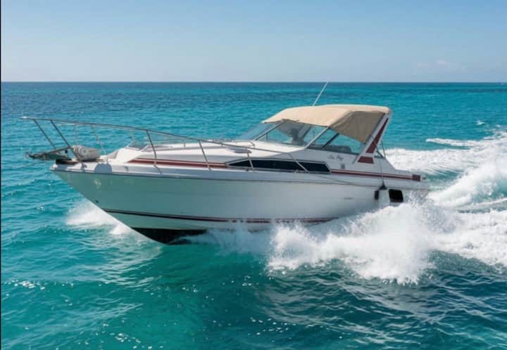 Expérience à Bord Du Sunset Boat - La Franqui