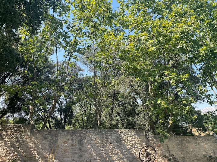 Un Havre De Paix Dans Un Domaine à Montpellier. - Carnon