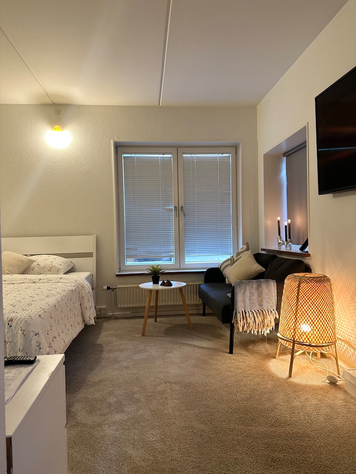 Waterfront Apartment In Copenhagen & 2 Bikes - Kopenhagen