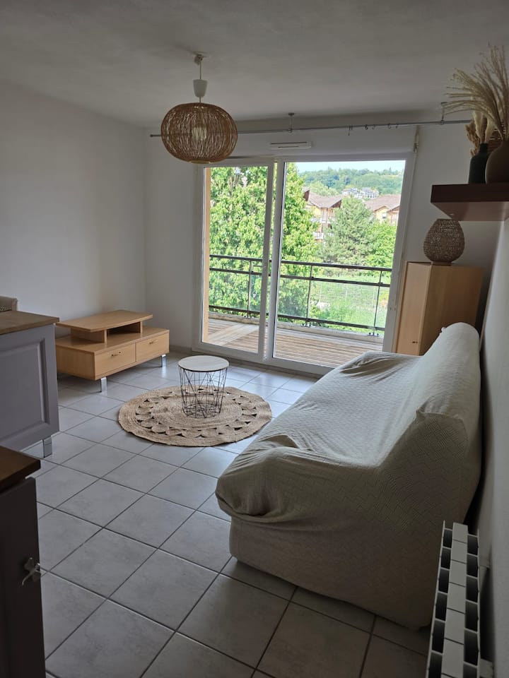 Appartement Avec Piscine - アンヌマス