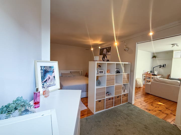 Zen Cocoon In The Heart Of Antwerp  By The River - Anvers