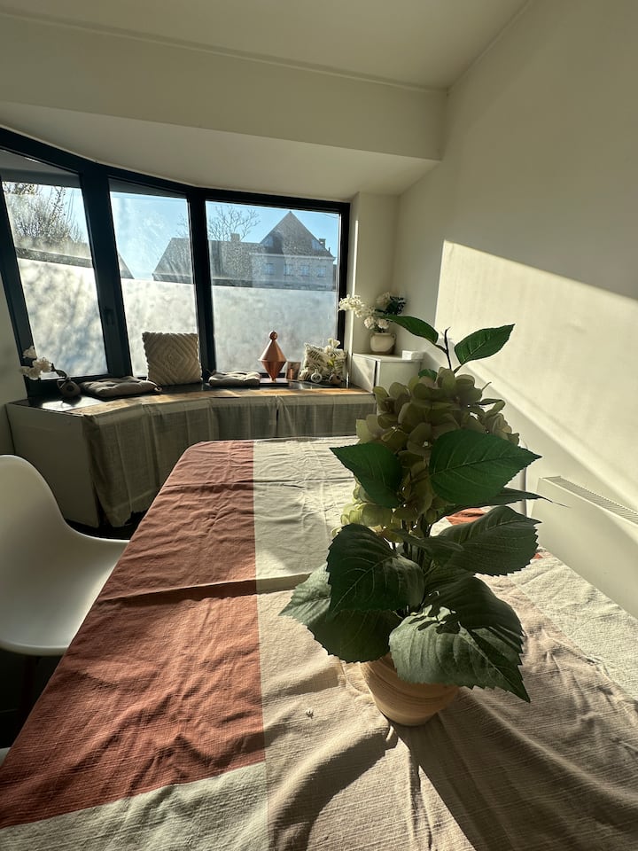 Bruges Spot Close To City Center. - Bruges