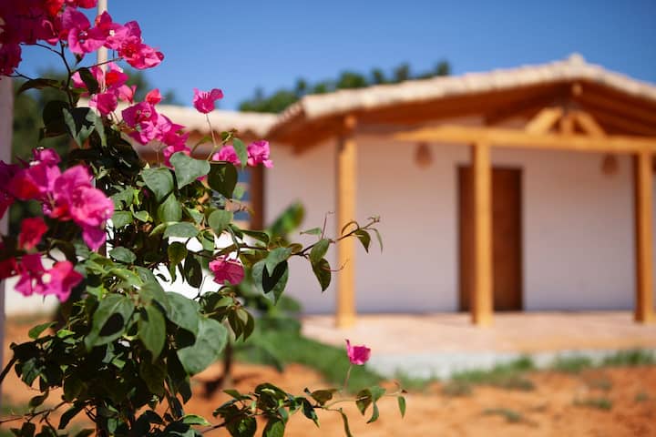 Calma Terra | Luz, Madera Y Naturaleza - Chiclana de la Frontera