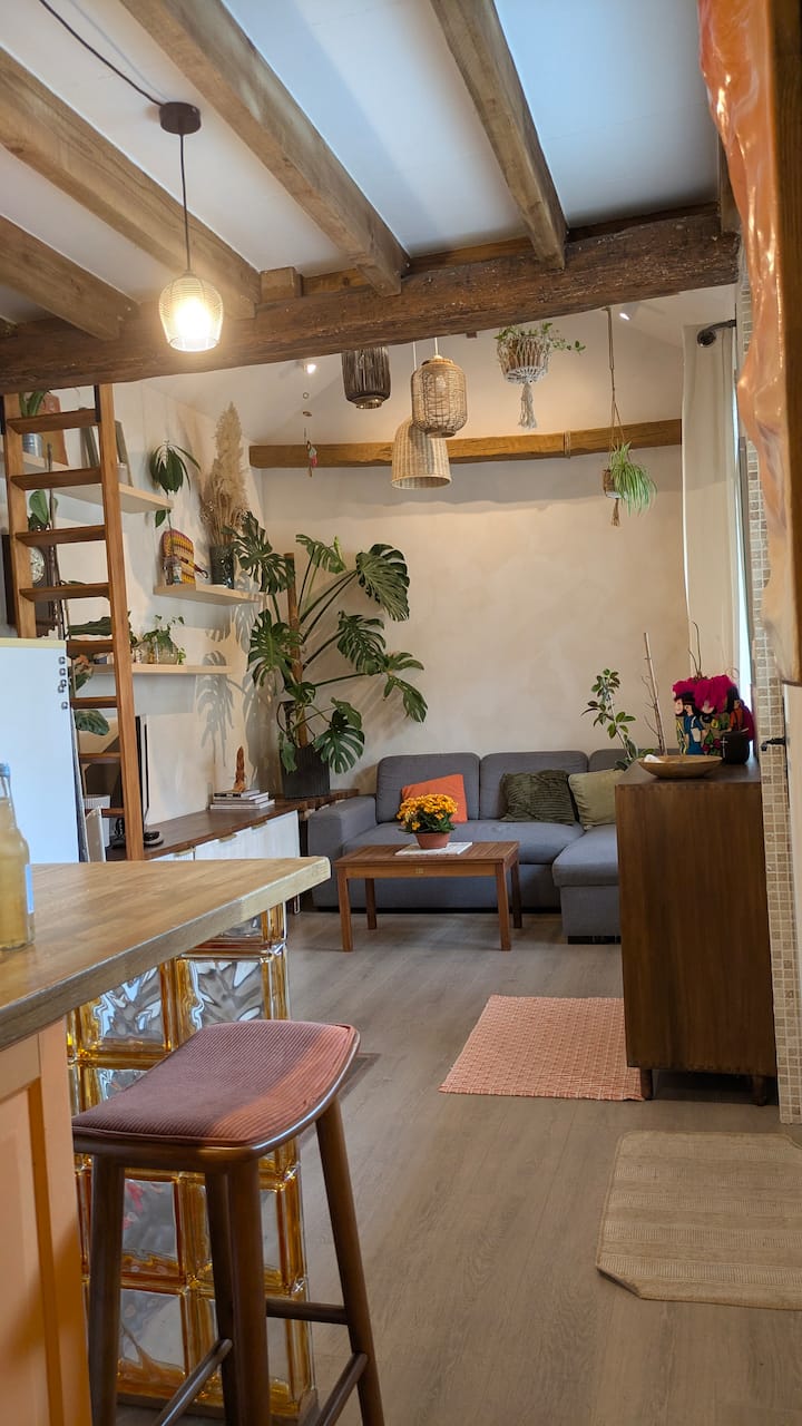 Maison Dans Un Quartier Calme - Argenteuil