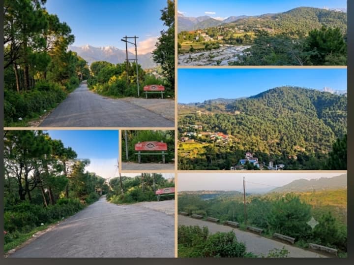 Cozy 2 Bedroom- 2nd Floor Dhauladhar View Palampur - Palampur