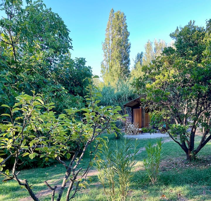 Le Cabanon
Canto Gau,
Petit Studio Indépendant - Saint-Rémy-de-Provence