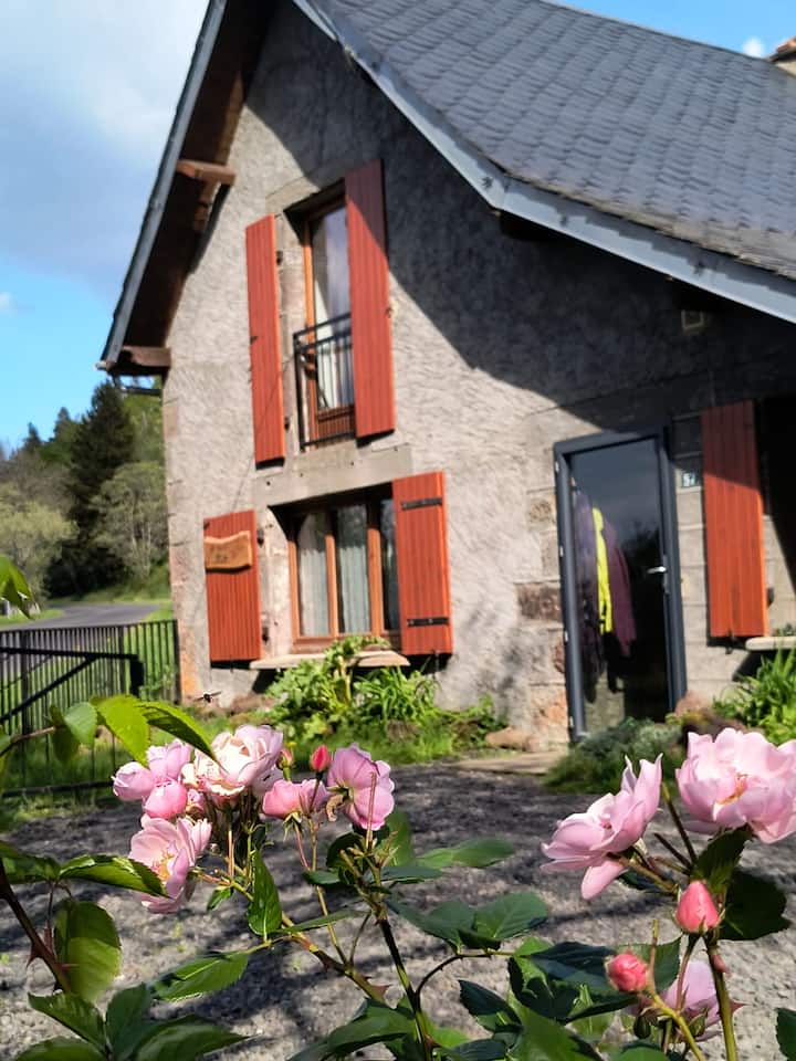 Chalet Les Pins Proche Ruisseau Calme - Besse-et-Saint-Anastaise