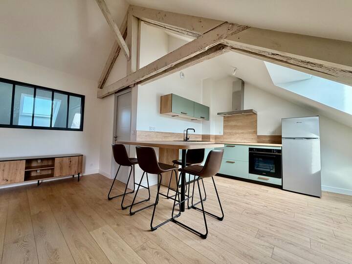 Logement Standing Dernier éTage Hôtel Particulier - Aurillac