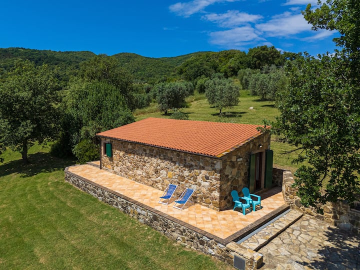 Bilocale La Carraia - Campiglia Marittima
