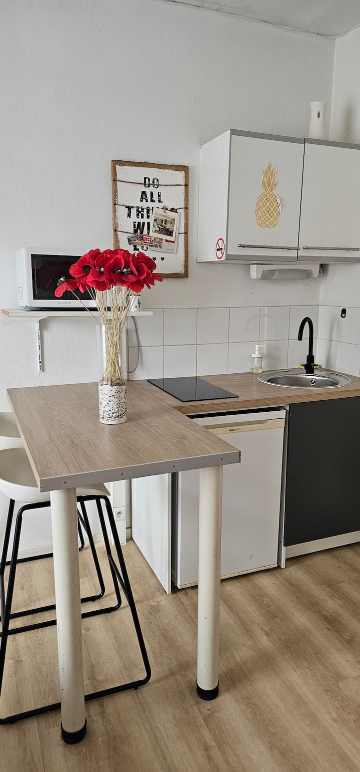 Joli Studio En Plein Centre Ville - Grenoble