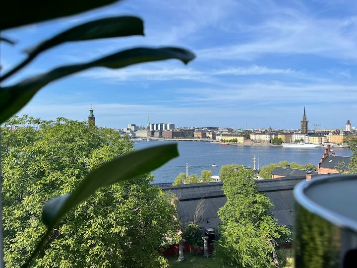 Charmig Vindsvåning På Södermalm 9 Bäddar - Stockholm