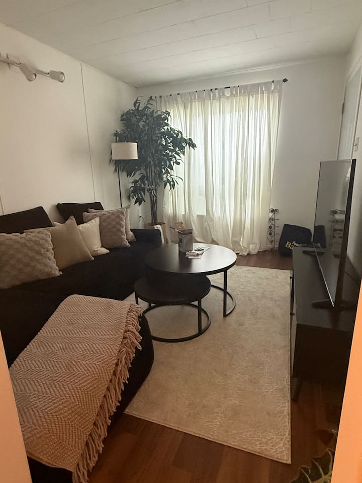 Stylish 1-bedroom Stay In North Bay - North Bay