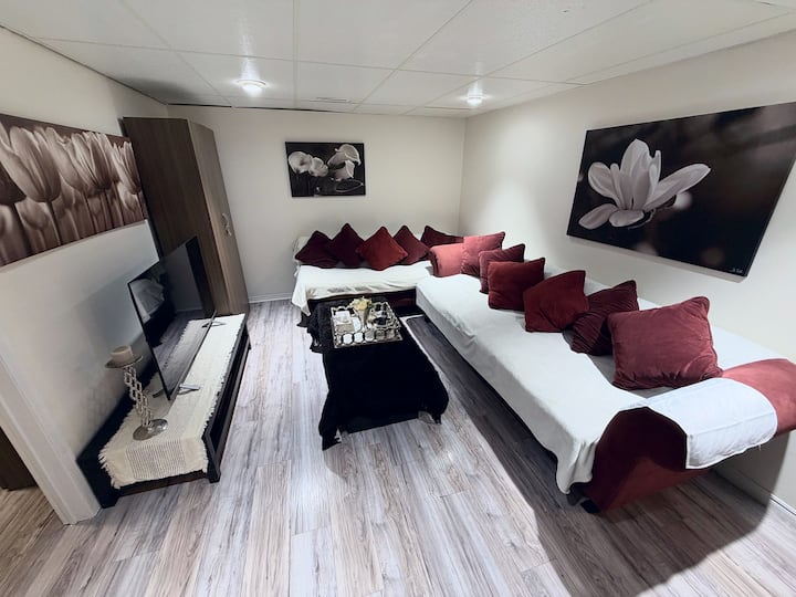 Clean, Quiet, Private 2br Suite - London