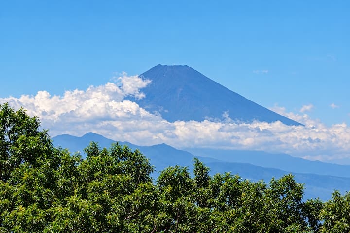 #53 富士山ビュー|ペットOk|お子様も喜ぶ仕掛けあり|修善寺温泉まで車で10分 - 이즈시