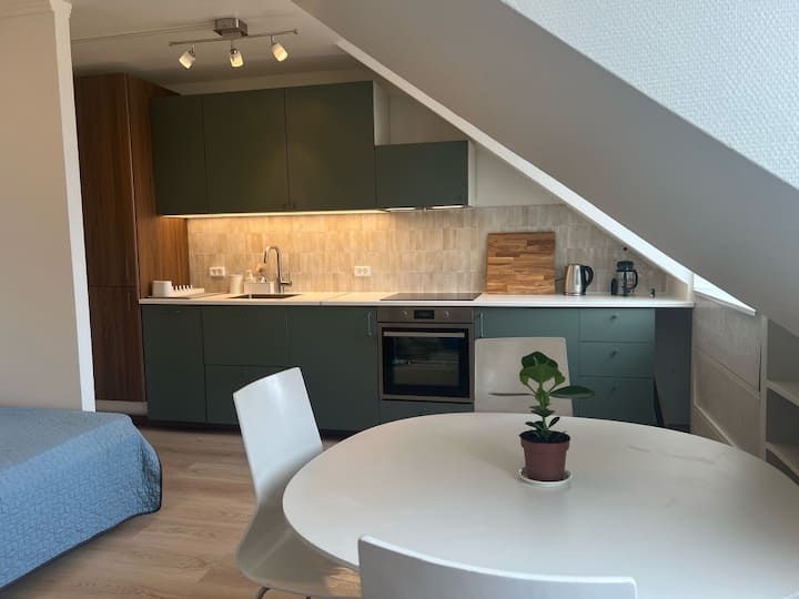 Hyggelig Studiolejlighed Med Central Beliggenhed. - Copenhague