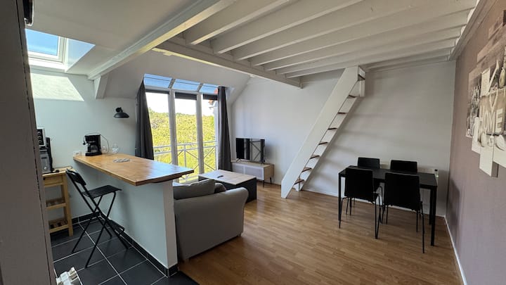 Appartement 15 Min De Paris - Deuil-la-Barre
