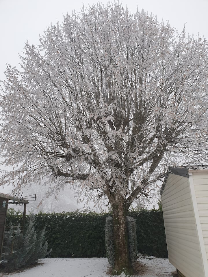 Marguerite 2 Chambres - Vosges