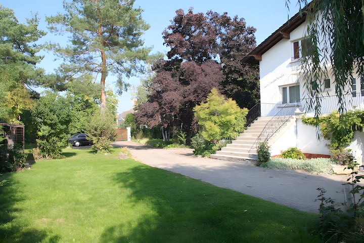 Aux 4 Vents - Chambre Jaune - Colmar