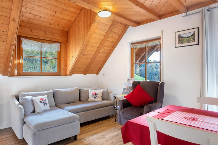 Ferienwohnung 1 - Talblick - Gengenbach