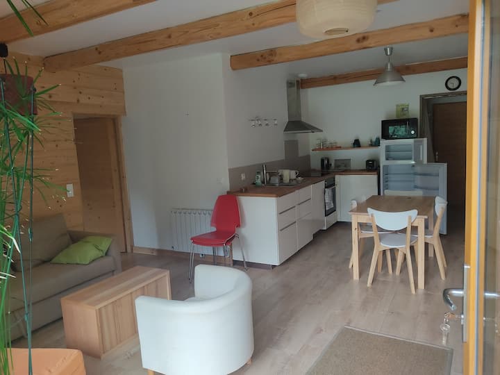 Charmant Appartement Avec Jardin à Oz (38) - Oz-en-Oisans