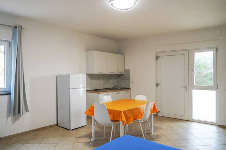 Monolocale Standard Frantoio - Sapri