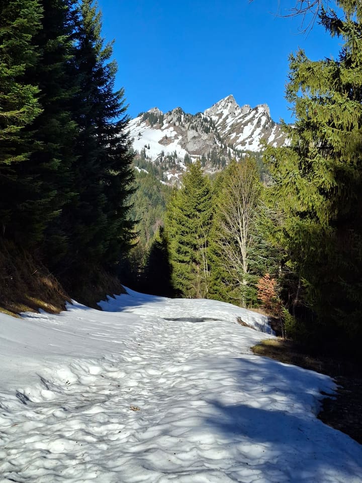 Appartement Torgon - Châtel