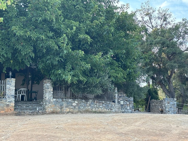 Appartement à La Ferme Proche Mer - Aléria