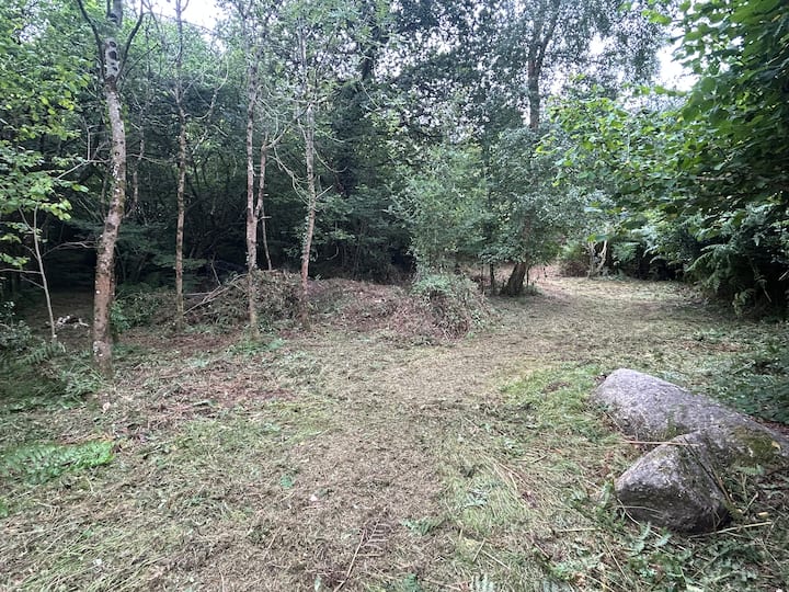 Camper Pitch Exclusive, Private, Nr Dartmoor - Dartmoor Forest