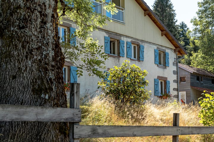 La Belle Vosgienne - Chambre Et Table D'hôtes - Gérardmer