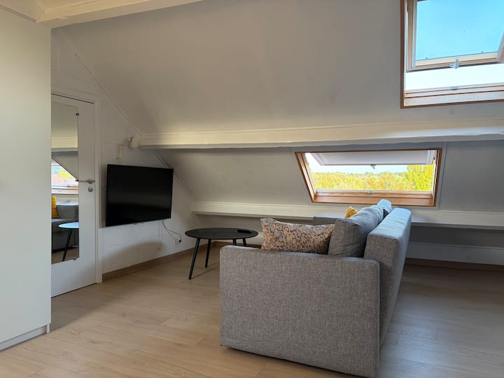 Leuke En Gezellige Studio In Hartje Van Grimbergen - Londerzeel
