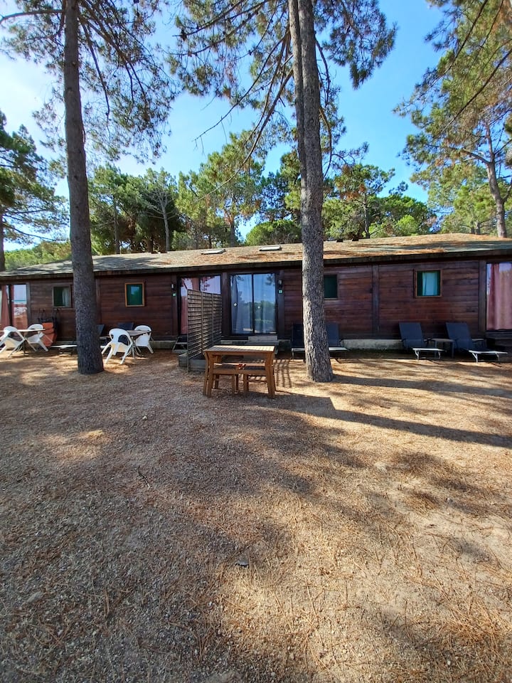Bungalow 2 Personnes (Numéro 23) - Balagne