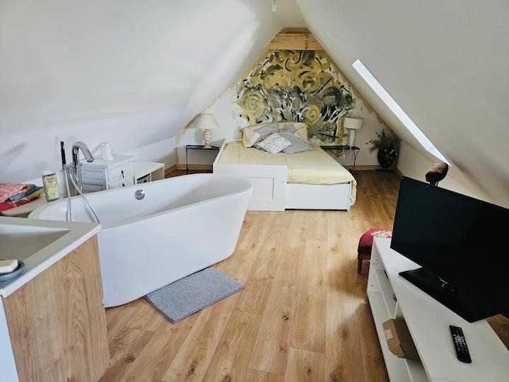 Grand Loft Avec Baignoire Vue Mer à Plomodiern - Plomodiern
