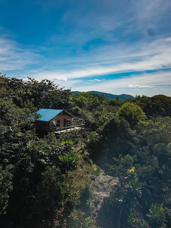 "Inmersión Profunda" En El Bosque Húmedo Tropical - San Luis, Colombia