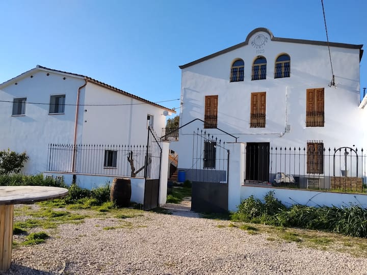 Mas De La Salut - Igualada