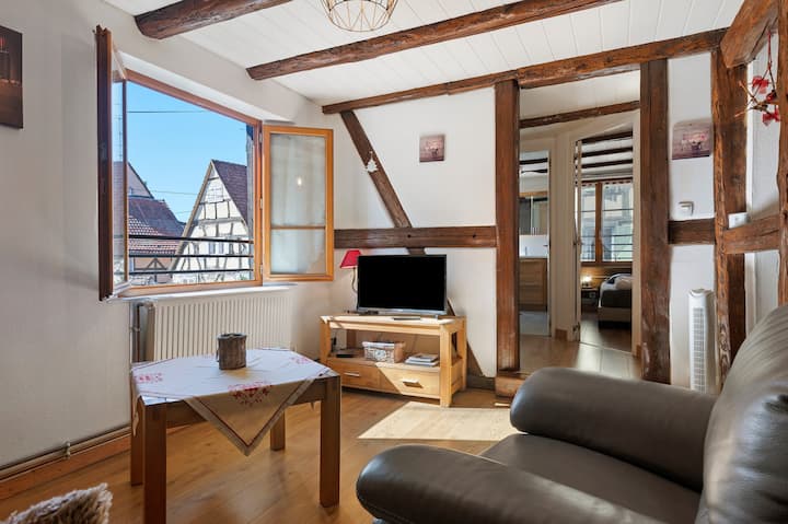 Gîte Pinot - Ribeauvillé