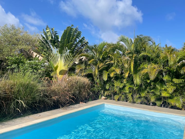 Vent Piscine Mer Et Les éToiles - Martinique