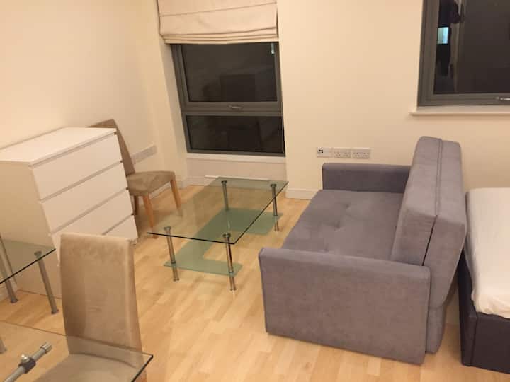 Cozy Studio Apartment In North Acton, London - London