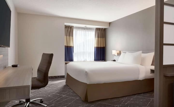 Queen Business | Microtel Lloydminster | Sofa Bed - Lloydminster