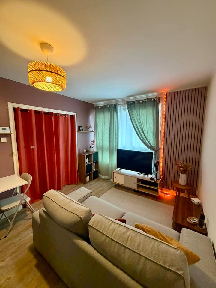 Appartement Cosy Au Cœur De Lille - Lille