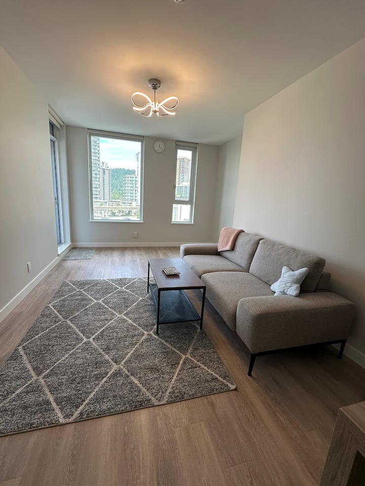 Brand New 1 Bedroom Apartment With Ac - Burnaby
