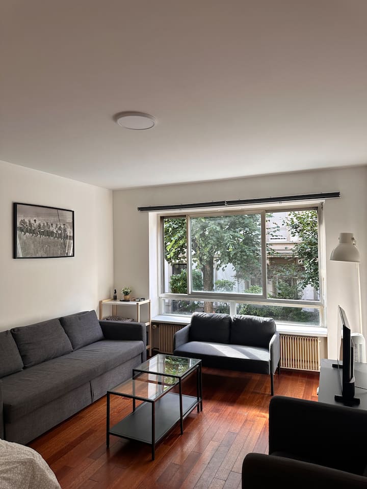 Studio Cosy Proche Orangerie Et Parlement - Strasbourg