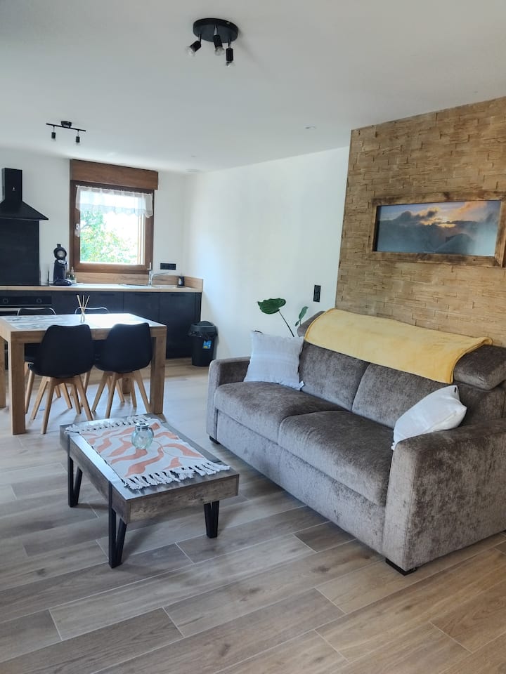 Roche Et Beau Bois Réunis Par La Terrasse Commune. - Cluses