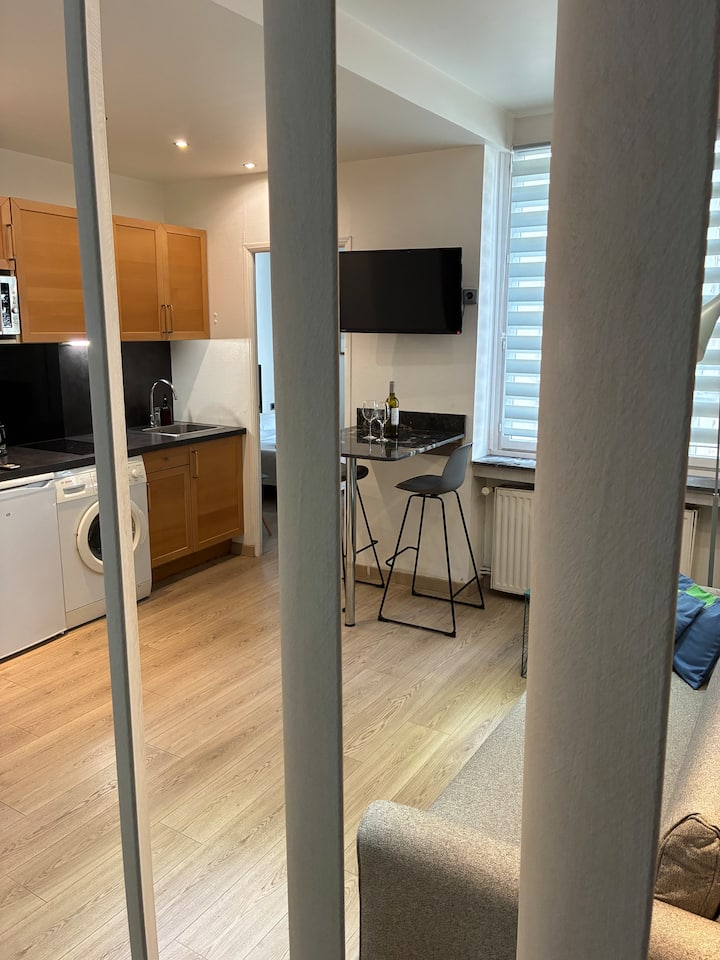 Appartement De 2 Pièces Au Coeur De Lyon - Lyon